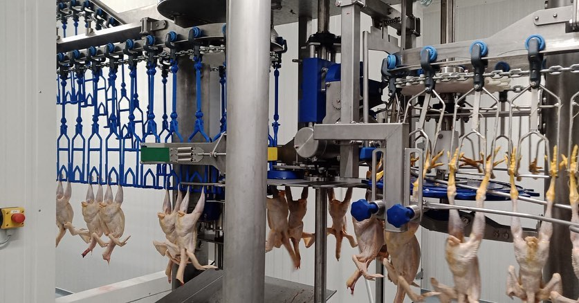 Blog post title 1 - Dutch Poultry Tech